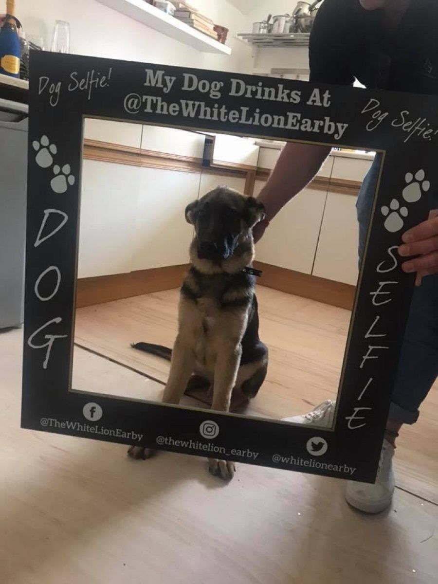 Dog Selfie Free-Standing Frame - Majisign